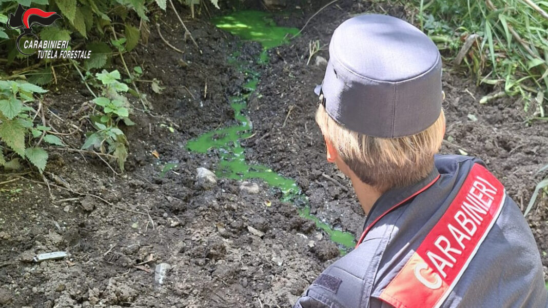 Inquinamento fiume Sarno, Carabinieri scoprono scarico illecito ti ...